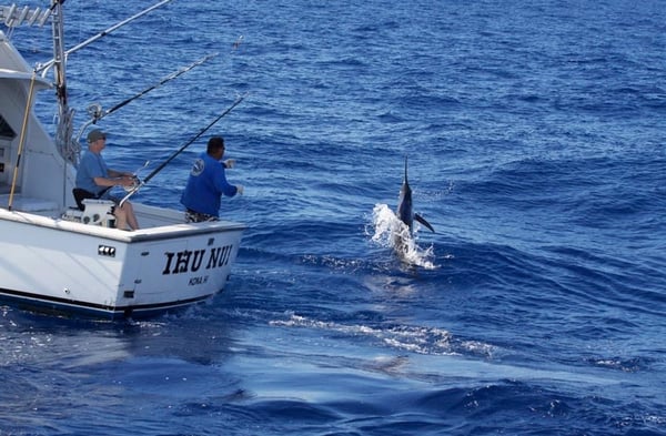 IHU NUI KONA SPORTFISHING - Updated October 2025 - 19 Photos - 74-381 ...