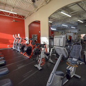 MOVEMENT GRAPEVINE - Updated February 2025 - 70 Photos - 3105 William D ...