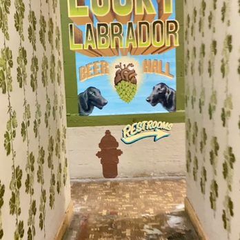 LUCKY LABRADOR BREWING CO - Updated November 2025 - 227 Photos & 377 ...