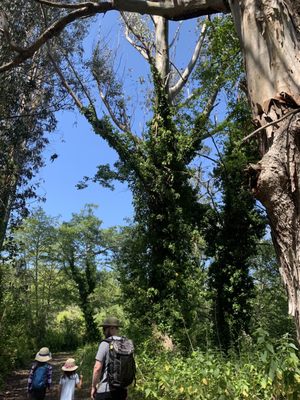 BURLEIGH H MURRAY RANCH - Updated November 2024 - 79 Photos - San Mateo ...