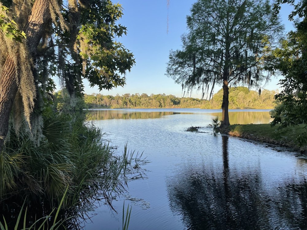 LAKE ALICE - 982 Museum Rd, Gainesville, Florida - Lakes - Yelp