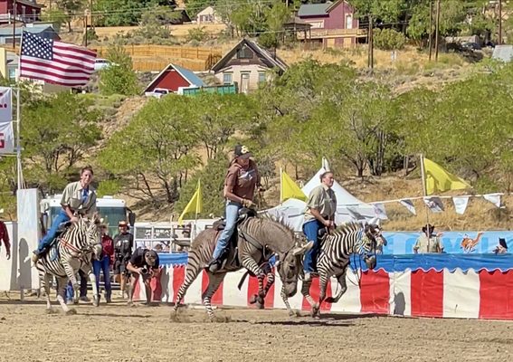 INTERNATIONAL CAMEL & OSTRICH RACES - Updated September 2025 - 28 ...