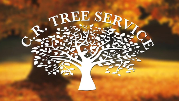 C.R TREE SERVICE - Updated August 2025 - 31 Photos & 15 Reviews - 2A ...