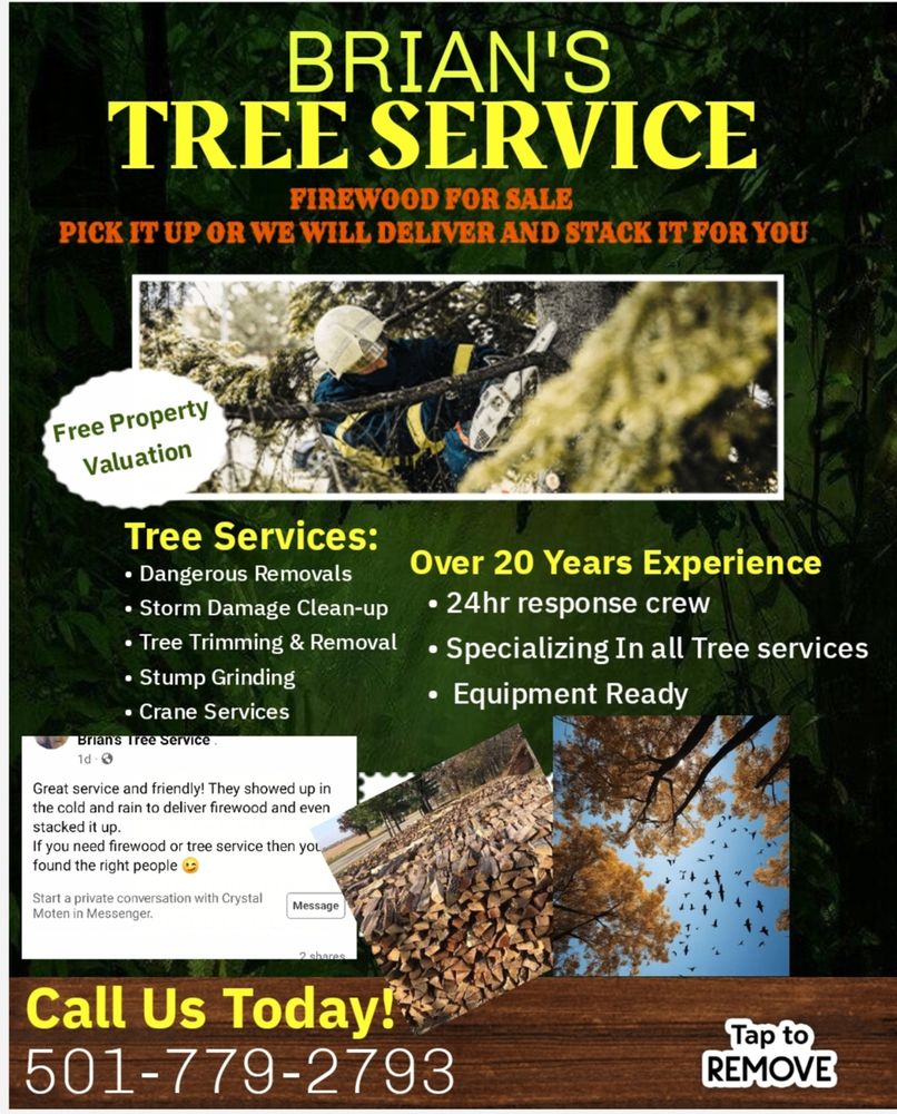 BRIANS TREE SERVICE - Updated July 2025 - Request a Quote - 26 Photos ...