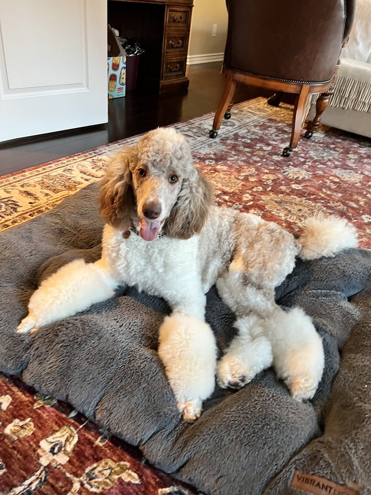 BLACKMORE RANCH PARK - Updated March 2025 - 14 Photos - 35979 Nutmeg St ...