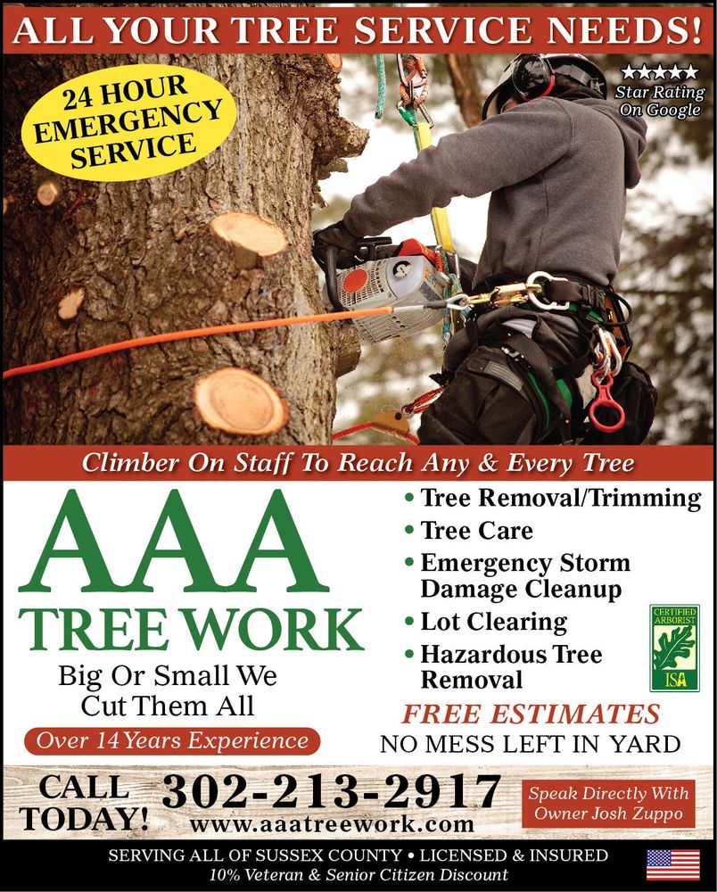 AAA TREE WORK - Updated December 2025 - Millsboro, Delaware - Tree ...