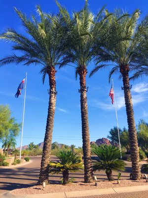 RED ROX VILLAS - Updated October 2025 - 15 Reviews - 5401 E Van Buren ...