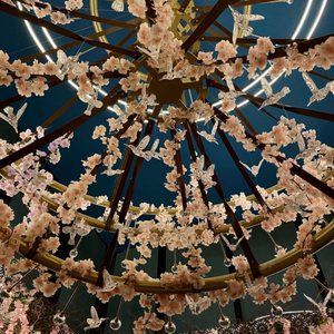 CIEL SOCIAL CLUB - 193 Photos & 77 Reviews - 601 K St NW, Washington ...