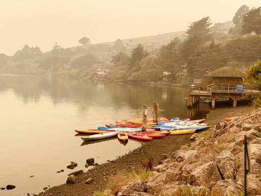 CAFE AQUATICA - 392 Photos & 380 Reviews - Coffee & Tea - 10439 Hwy 1 ...