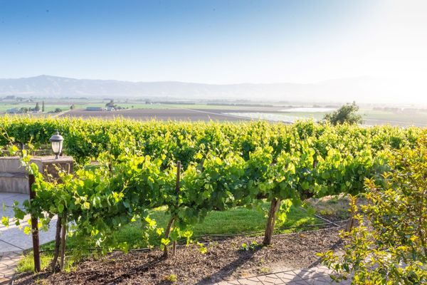 CRŪ WINERY - Updated February 2025 - 31 Photos & 11 Reviews - 37500 ...