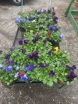 FLOWER POWER FARM - Updated October 2025 - 57 Photos & 18 Reviews - 126 ...