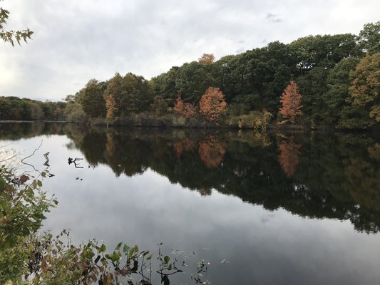 HORN POND - 89 Photos & 50 Reviews - Lake Street And Arlington Rd ...