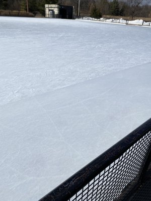 STEINBERG SKATING RINK - Updated December 2025 - 62 Photos & 80 Reviews ...