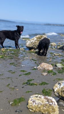 HARBORVIEW PARK - Updated July 2025 - 59 Photos & 29 Reviews - 1621 W ...