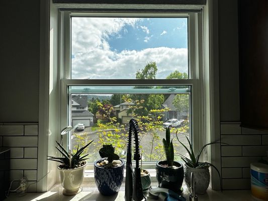 BRIGHTSIDE WINDOWS - Updated February 2025 - 69 Photos & 28 Reviews ...