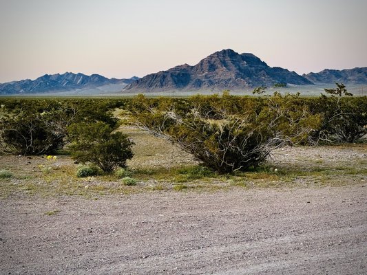 TARANTULA RANCH CAMPING & GLAMPING - Updated October 2025 - 5065 Cook ...