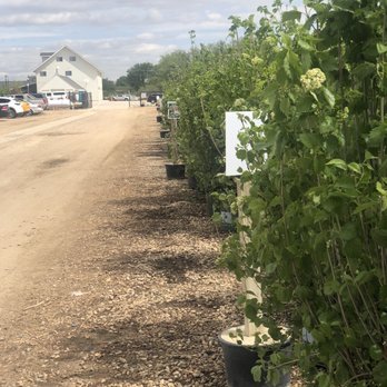 THE TREE FARM NURSERY & GARDEN CENTER - Updated August 2025 - 34 Photos ...