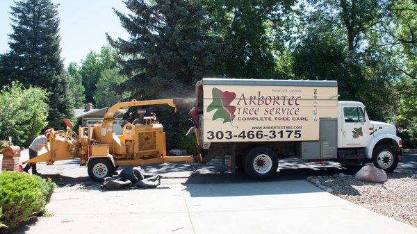 ARBORTEC TREE SERVICE - Updated December 2025 - 41 Photos & 24 Reviews - 2890 Industrial Ln ...