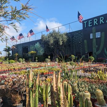 TERRA BELLA NURSERY - Updated August 2024 - 259 Photos & 73 Reviews - 3535 Camino Del Rio W, San ...
