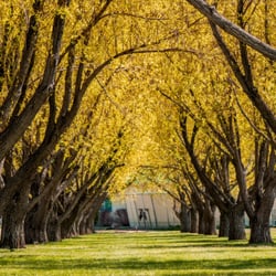 DISCOVERY RANCH - 20 Photos & 26 Reviews - 1308 S 1600th W, Mapleton ...