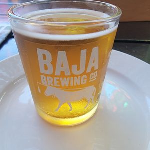 BAJA BREWING COMPANY - 297 Photos & 130 Reviews - José María Morelos ...