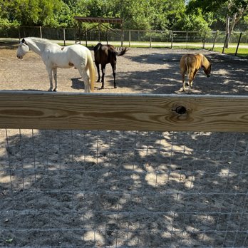 ANIMAL EDVENTURE PARK & SAFARI - Updated November 2025 - 589 Photos ...