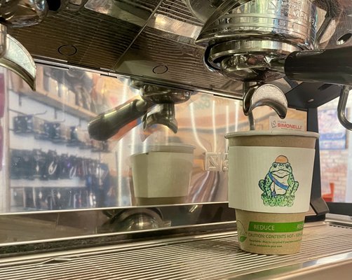 TOADS - Updated August 2024 - 11 Photos - 223 N Bridge St, Grand Ledge ...