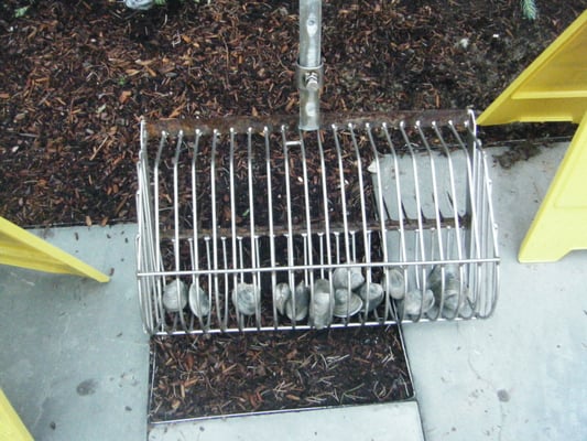 QUAHOG JAMBOREE - Updated December 2024 - 16 Photos - 600 Sandy Ln ...