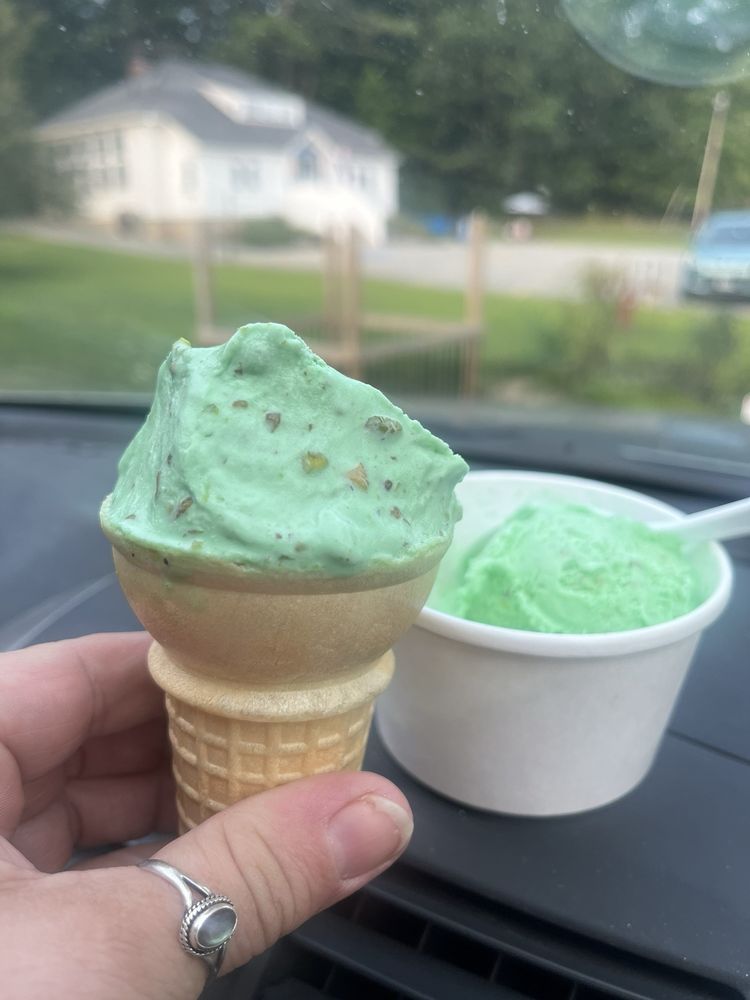 POLAR PUG ICE CREAM - Updated September 2024 - 79 Photos - 201 Main St ...