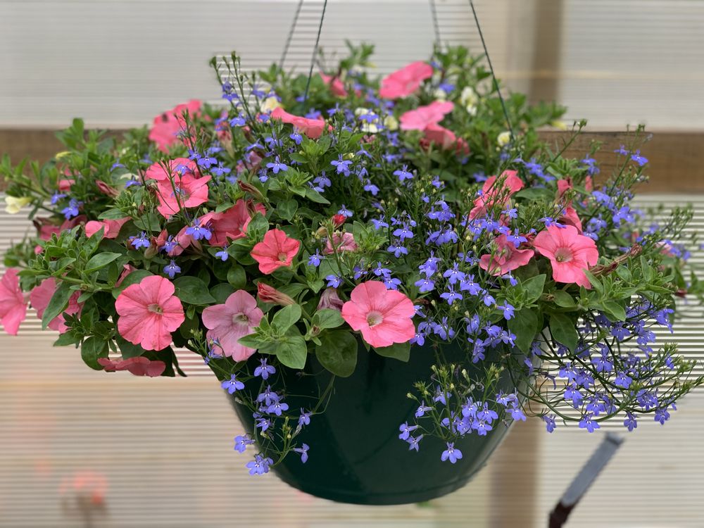 RIGHTWAY GARDEN CENTER - 36 Photos - 5529 N Bend Rd, Burlington ...