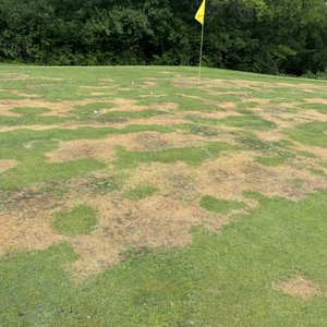 EAGLE BEND GOLF COURSE - Updated October 2025 - 16 Reviews - 1250 E ...