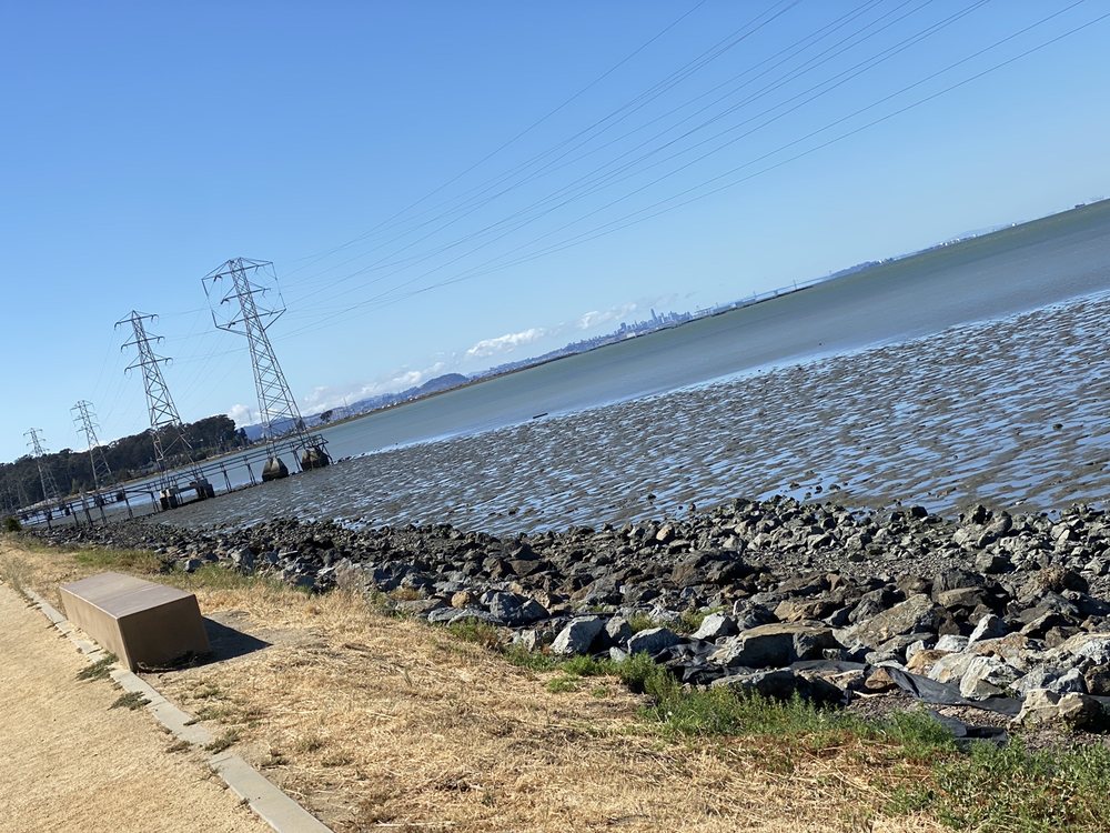 RYDER COURT PARK - Updated June 2025 - 116 Photos & 55 Reviews - 1801 J ...