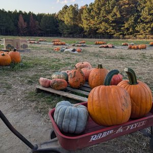 RVA BIG MARKET - Updated June 2025 - 83 Photos & 18 Reviews - 4308 ...