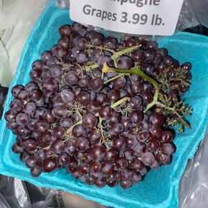 MARINI FARM - Updated July 2025 - 67 Photos & 47 Reviews - 259 ...