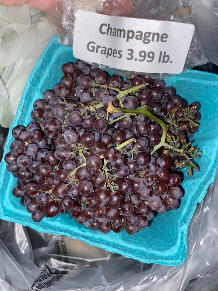 TENDERCROP FARM - Updated January 2025 - 10 Photos & 31 Reviews - 93 ...