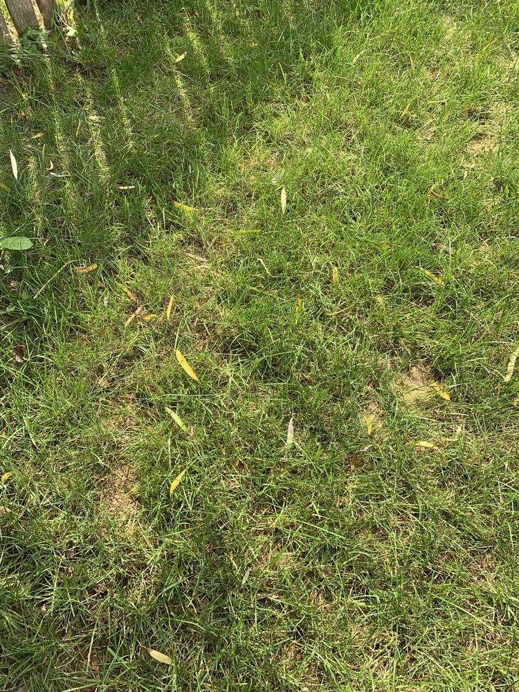 WEED PRO - Updated January 2026 - 14 Photos & 13 Reviews - 8157 Green ...