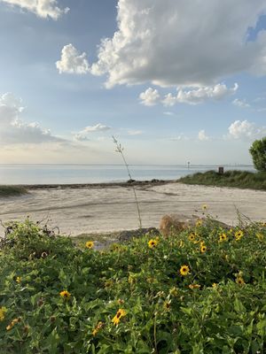 EMERSON POINT PARK - 184 Photos & 29 Reviews - 5801 17th St W, Palmetto ...