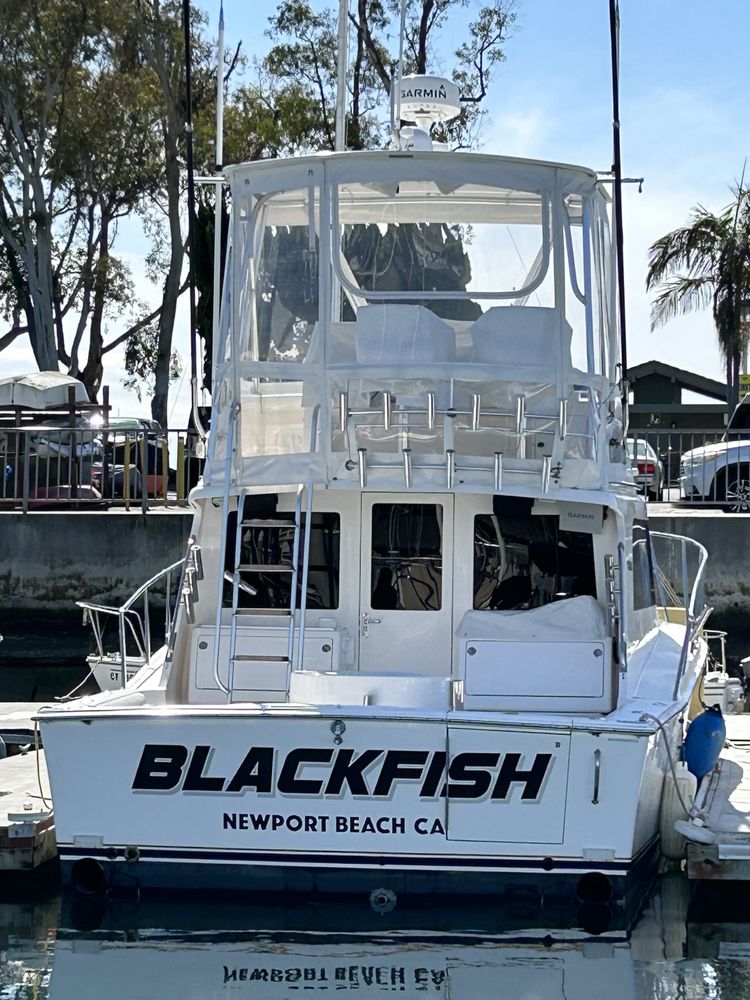 BLACKFISH CHARTERS - Updated March 2025 - 14 Photos - 400 Main St ...