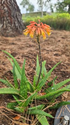 UCI RESEARCH PARK - Updated December 2025 - 20 Photos - 5301 California ...