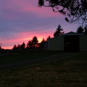 FLYING M RANCH - Updated June 2025 - 13 Reviews - 23029 NW Flying M Rd ...