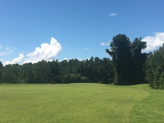 THE OAKS GOLF CLUB - Updated July 2025 - 10 Photos - 1264 Co Rd 309 ...