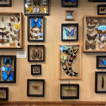 PAXTON GATE - Updated October 2025 - 198 Photos & 167 Reviews - 4204 N ...