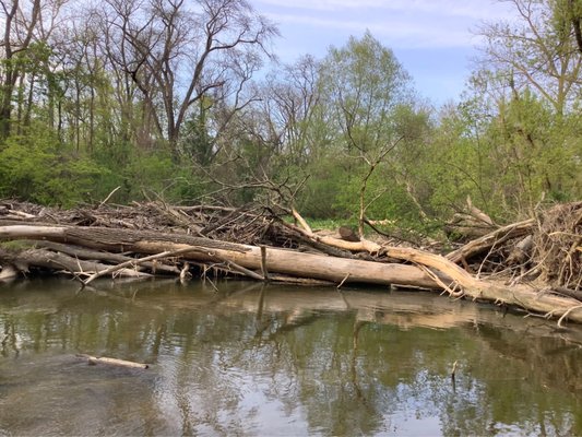 FERRETTIE/BAUGO CREEK COUNTY PARK - 10 Photos - 57057 Ash Rd, Osceola ...