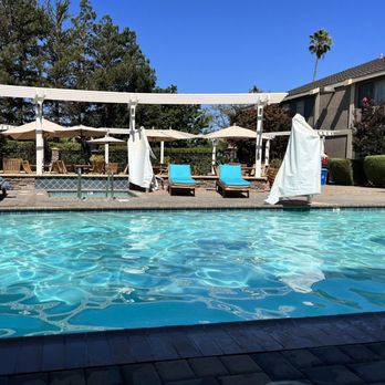 MAPLE TREE INN - Updated April 2025 - 176 Photos & 196 Reviews - 711 E ...