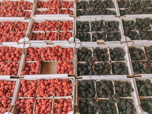 TAGGE’S FAMOUS FRUIT AND VEGGIE FARM - 15 Photos - CSA - 3431 S Hwy 89 ...