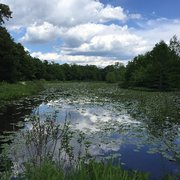 SHAW NATURE RESERVE - 101 Photos & 18 Reviews - 307 Pinetum Loop Rd ...