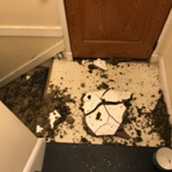 HL Bowman Inc - Updated January 2026 - 118 Photos - 77 Reviews - 2259 ...