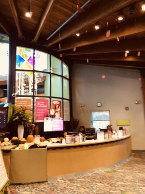 STEPPING STONES MUSEUM FOR CHILDREN - 120 Photos & 64 Reviews ...