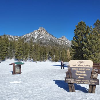 SPRING MOUNTAIN NATIONAL RECREATION AREA - Updated October 2025 - 337 ...