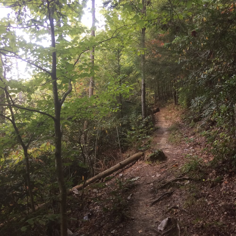 KOOMER RIDGE CAMPGROUND - Pine Ridge, Kentucky - Campgrounds - Yelp